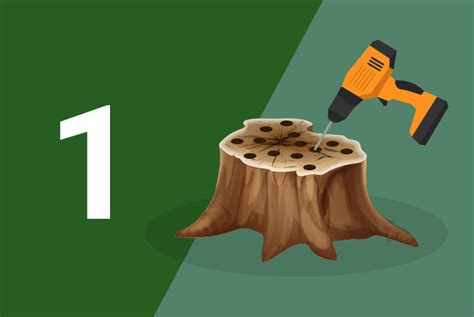 How To Get Rid Of Tree Stumps