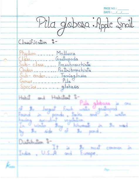 Solution Classification Of Snail Studypool