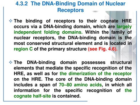 Ppt Signaling By Nuclear Receptors Powerpoint Presentation Free Download Id6564497