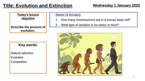 Aqa Gcse Biology Lesson 13 Evolution And Extinction Inheritance