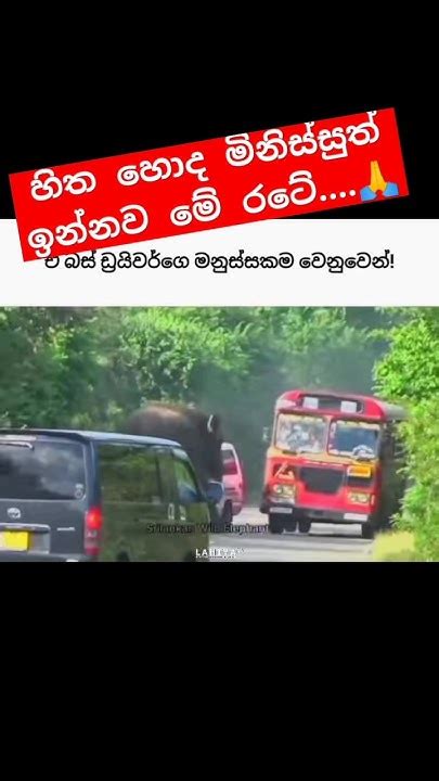 මනුස්සකම ඒ මිනිස්සු ගාවත් තියනවා කොච්චර මිනිස්සු බස් ඩ්‍රයිවර්ලට බැන්නත් එයාලගෙ රාජකාරිය