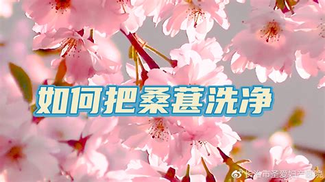 长治圣爱妇产医院如何把桑葚洗净