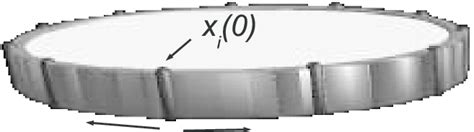 A Horizontal Cross Section Of A Tree Bole That Has Been Intersected By