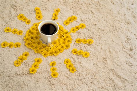 바위 표면에 태양을 형성하는 노란 꽃으로 둘러싸인 커피 한 잔 0명에 대한 스톡 사진 및 기타 이미지 0명 공란 꽃 식물 Istock