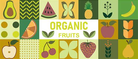 단순한 기하학적 모양의 평면 스타일의 유기농 과일 배너 추상적인 기하학적 복고풍 모양 전단지 천연 제품 프레젠테이션 템플릿 표지
