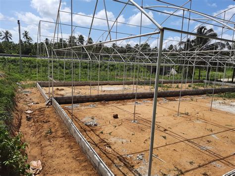 Agricultural Value Addition Through Polly Tunnel Cultivation N S