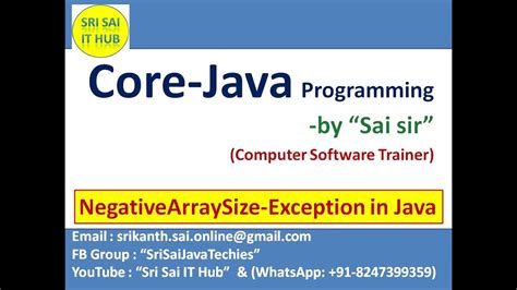 114 Negativearraysizeexception In Java Prog Exceptions In Java Exception Handling