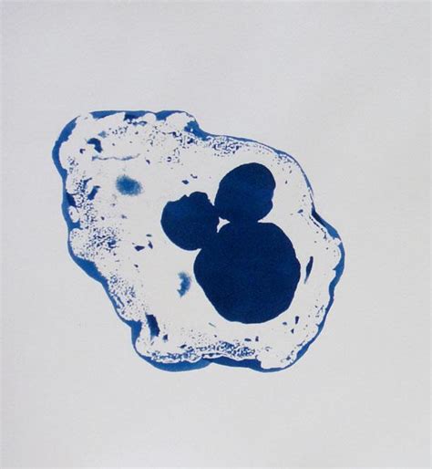 Cyanotype1 Sight Unseen