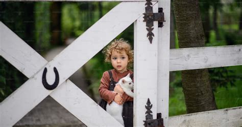 농장에 서서 카메라를 바라보는 고양이와 함께 있는 작은 소녀의 초상화 사진 Unsplash의 울타리 이미지