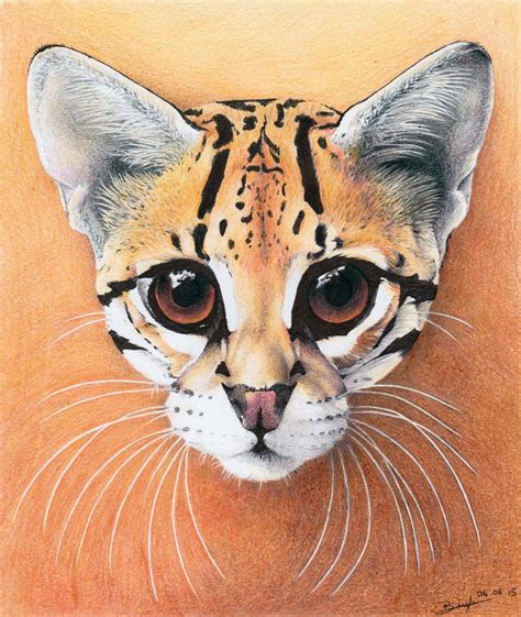 How To Draw An Ocelot