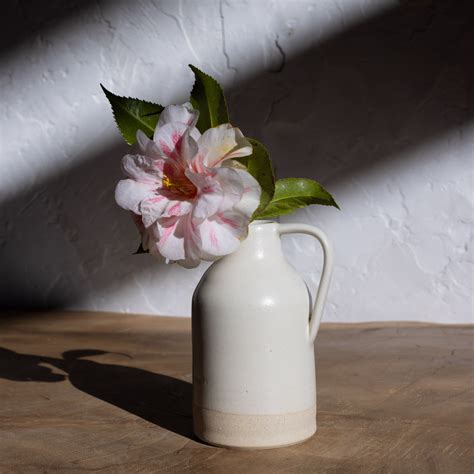 Mini Pitcher Cageless Birds