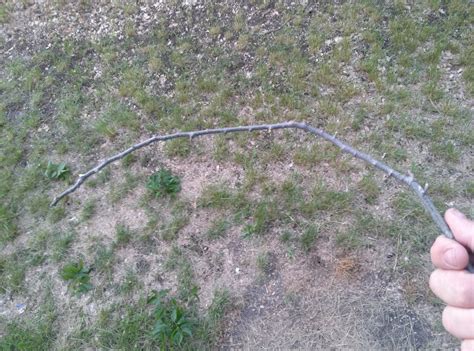 Stretched Pikachu Pelt 7 Steps With Pictures Instructables