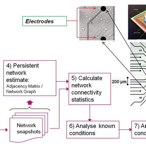 Steps In Functional Connectivity Analysis Of Multi Electrode Array