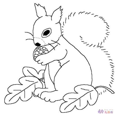坐着的松鼠怎么画 松鼠怎么画 画松鼠 大山谷图库