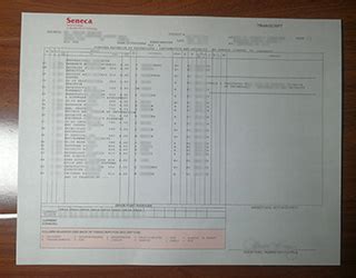 How Much To Get A Fake Seneca College Official Transcript Online