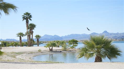 Lake Havasu State Park Offers Beach Escape In The Arizona Desert