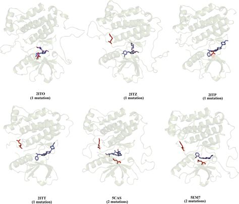 Structural Details Of The Investigated Systems The Set Of Mutated