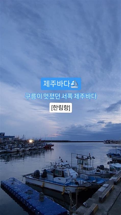 헤이제주 제주여행 제주맛집 제주카페 제주숙소 제주겹벚꽃 보기 좋은 명소와 숨은 스팟들 5곳 정리해봤어🌸🌸 1 감사공묘역 감사공묘역은 제주겹벚꽃명소 중
