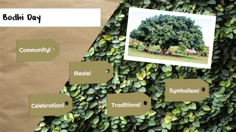 Bodhi Day By Ivie Nguyen On Prezi