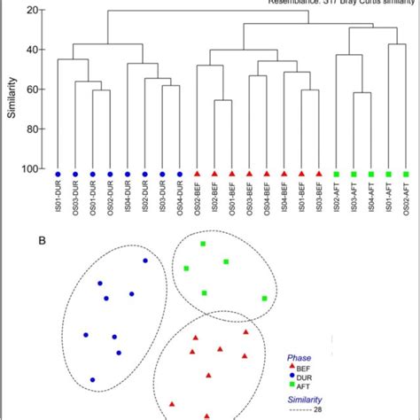 A Clustering Dendrogram Of Bray Curtis Similarities For 21 Stations Download Scientific