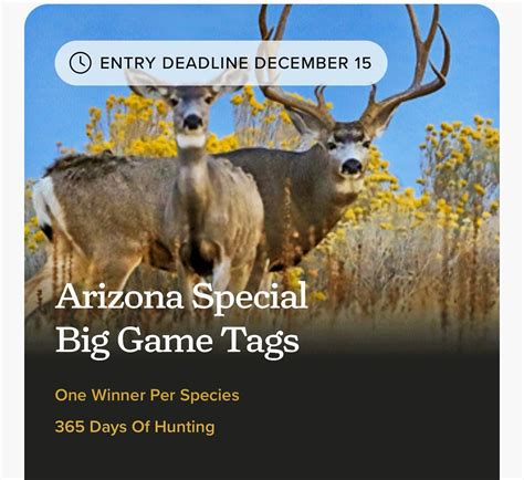 Arizona Big Game Super Raffle • Instagram Photos And Videos