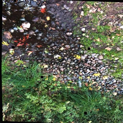 Taco Trash Annotations In Context Dataset Instance Segmentation