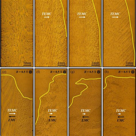 Longitudinal Section Microstructures Of Sn 10 Wt Bi Alloys Download Scientific Diagram