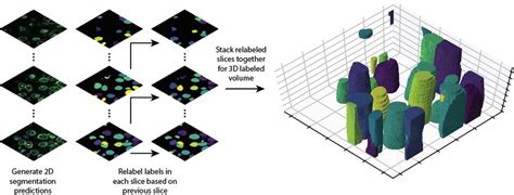 3d Segmentation Proof Of Principle For Using Mesmers Segmentation