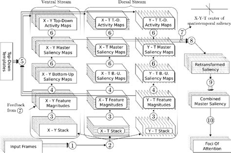 Incoming Video Frames Are Accumulated 1 To Form Processing Volumes
