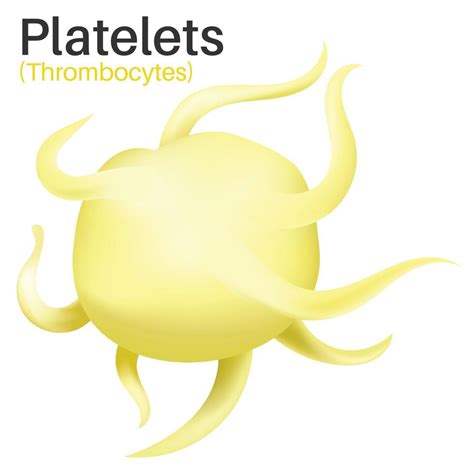 Platelets Clipart