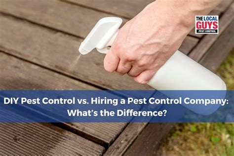 Diy Pest Control Vs Hiring A Pest Control Company Whats The Difference