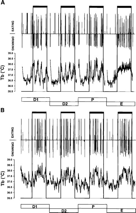 Illustrative Relationships Between Ingestive Behavior And Core Body