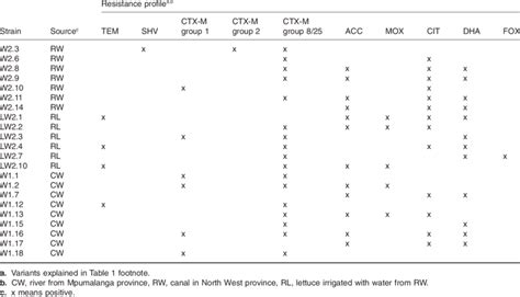 Extended Spectrum And Ampc β Lactamase Multi Resistant E Coli Isolated