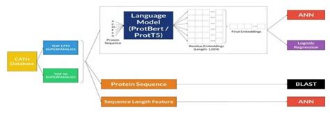 Illustration Of The Pipeline Followed In This Study Which Includes The Download Scientific