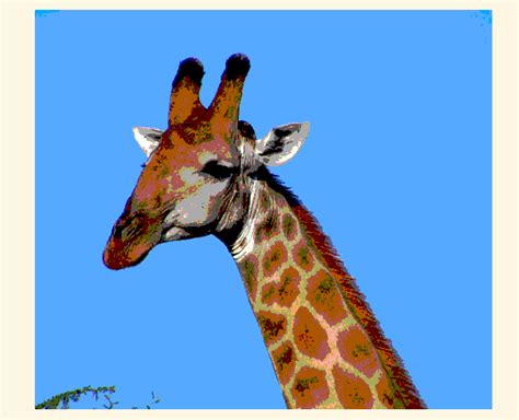 Best JQuery Image Effects Plugins Tutorials With Demo