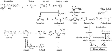 Biomass Platform Molecules Upgrade Into Valuable Products And Fuel Download Scientific Diagram
