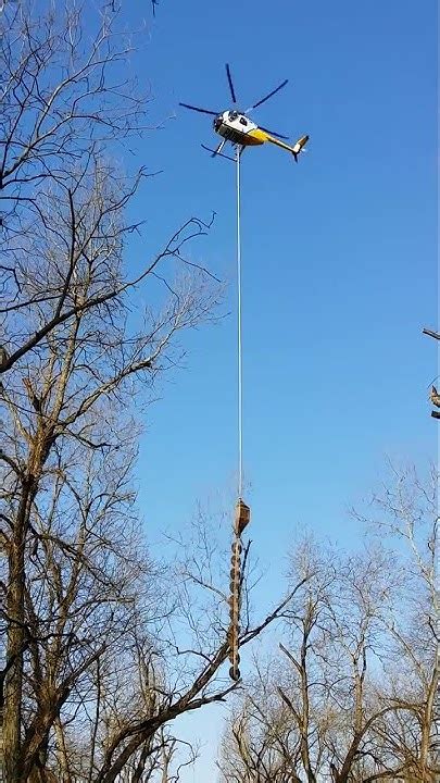 Helicopter Pruning Pecan Tree Youtube