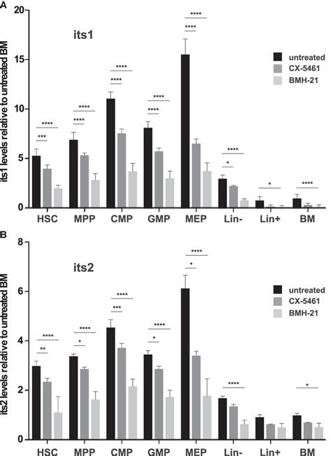 Mouse Adult Hematopoietic Stem Cells Actively Synthesize Ribosomal Rna