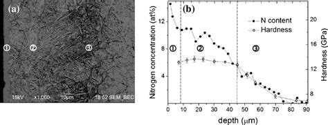 A Sem Micrograph Of The Compound Layer ① And The Diffusion Layers ②