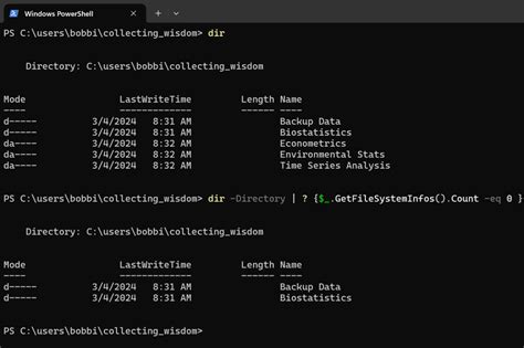 How To Find Empty Folders In PowerShell With Example Collecting Wisdom