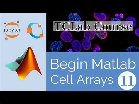 Cell Matlab Convert Array To Cell Array With Consistently Sized Cells