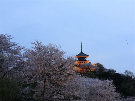 三溪園にて GANREF