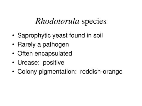Ppt Mycology Yeast Powerpoint Presentation Free Download Id6409451