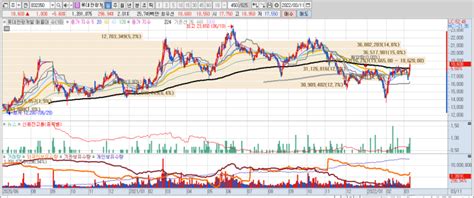 2022년 3월 11일 기술적분석 특징주 Feat 롯데관광개발 Oci 한전기술 Gkl 대동 범양건영 에이프로젠med Gs리테일 신세계 한국종합기술 에어부산 대웅 녹십자