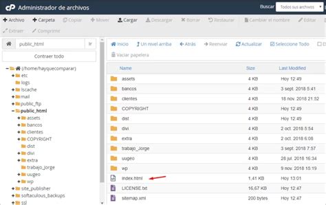 Cómo crear una web sencilla con cPanel en pocos minutos