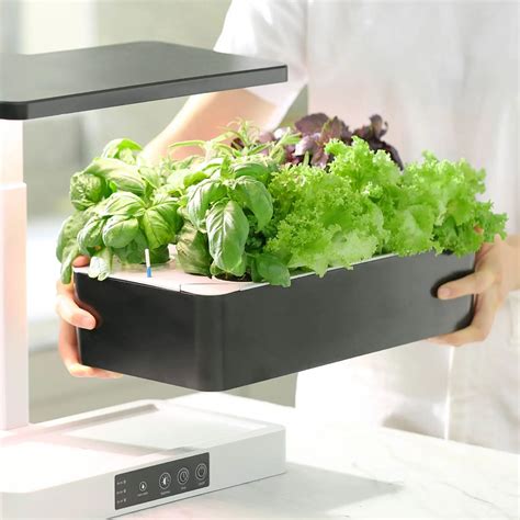 Hydroponic Pot Pklonlinemu