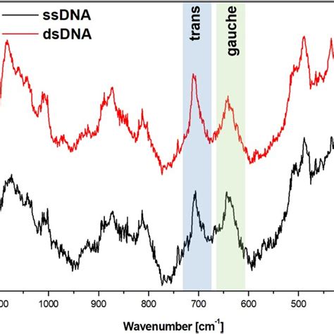 Sers Spectra Of A Gold Covered Nanostructured Gan Substrate Modified Download Scientific