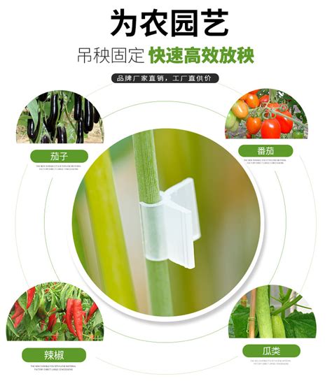 圆口大棚蔬菜嫁接夹子黄瓜西瓜苗叶仙蟹爪兰嫁接专用塑料夹子 阿里巴巴