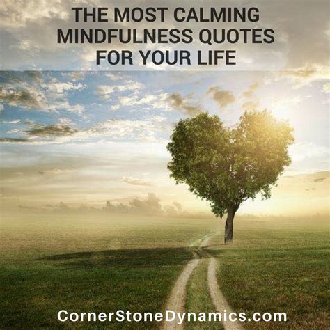 Mindfulness Quotes