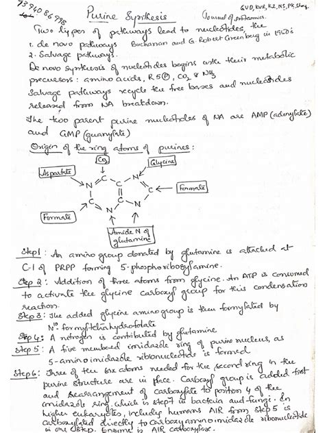 Purine Biosynthesis Pdf